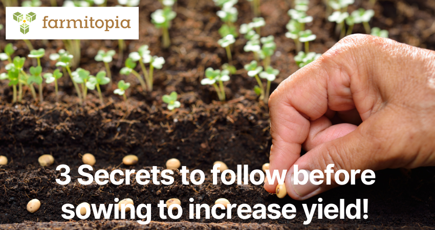 Want to tap maximum yield? 3 Secrets to follow BEFORE sowing!Want to ...