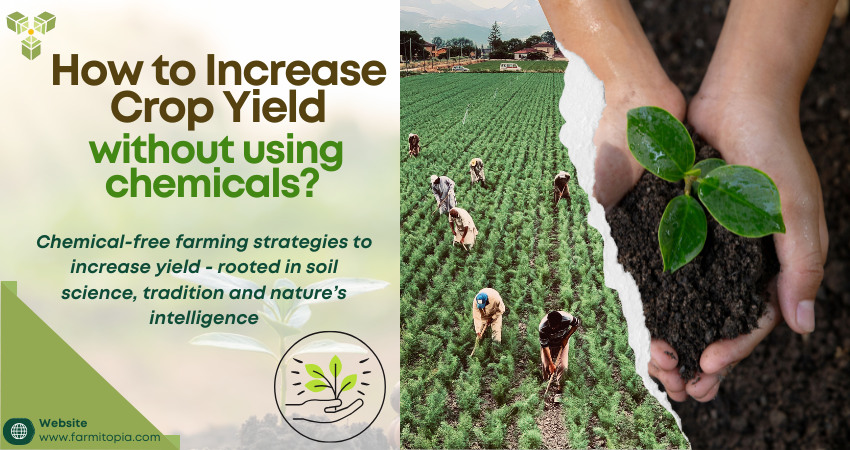 How to Increase Crop Yield without using chemicals?